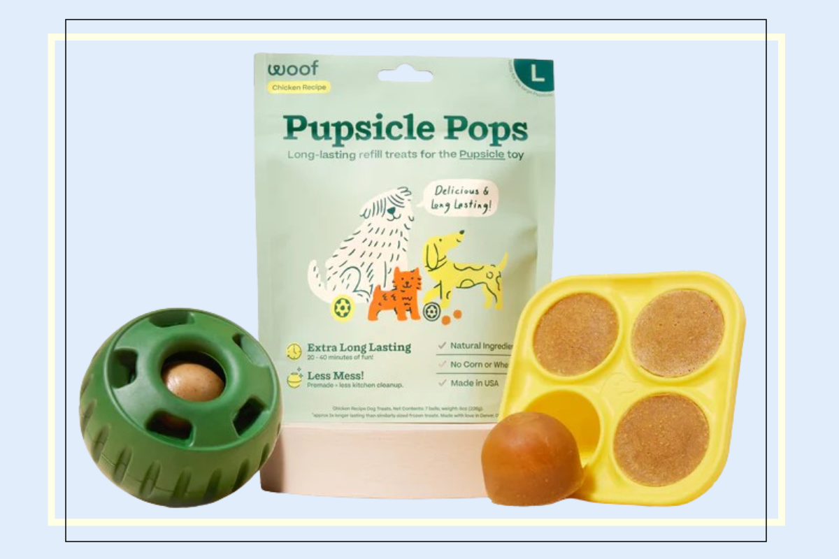 Snow Day Survival Guide: 19 Products to Make the Most of the Winter ...