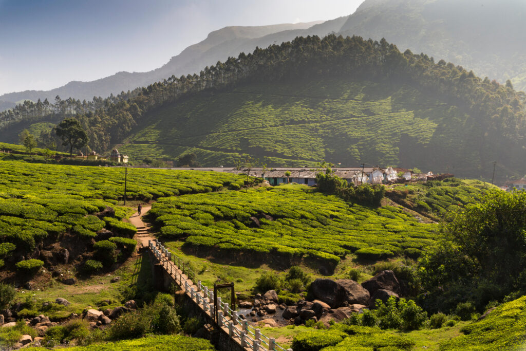 How a Biologically "Dead" River in India Was Finally Restored