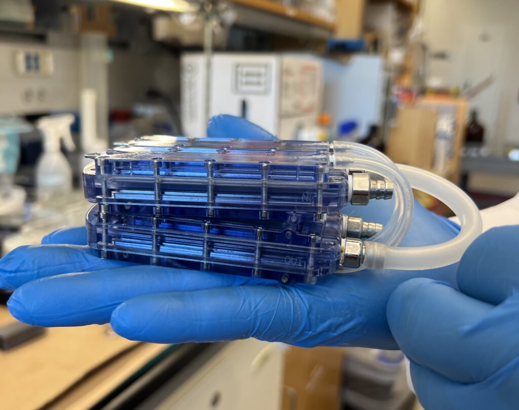 This Artificial Kidney Could Eliminate the Need for Dialysis