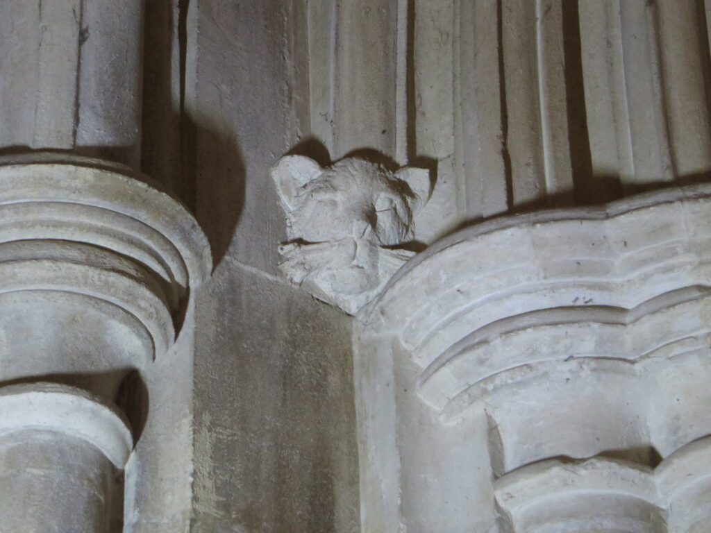 All About the 400-Year-Old Cat Door at Exeter Cathedral, Where Felines ...