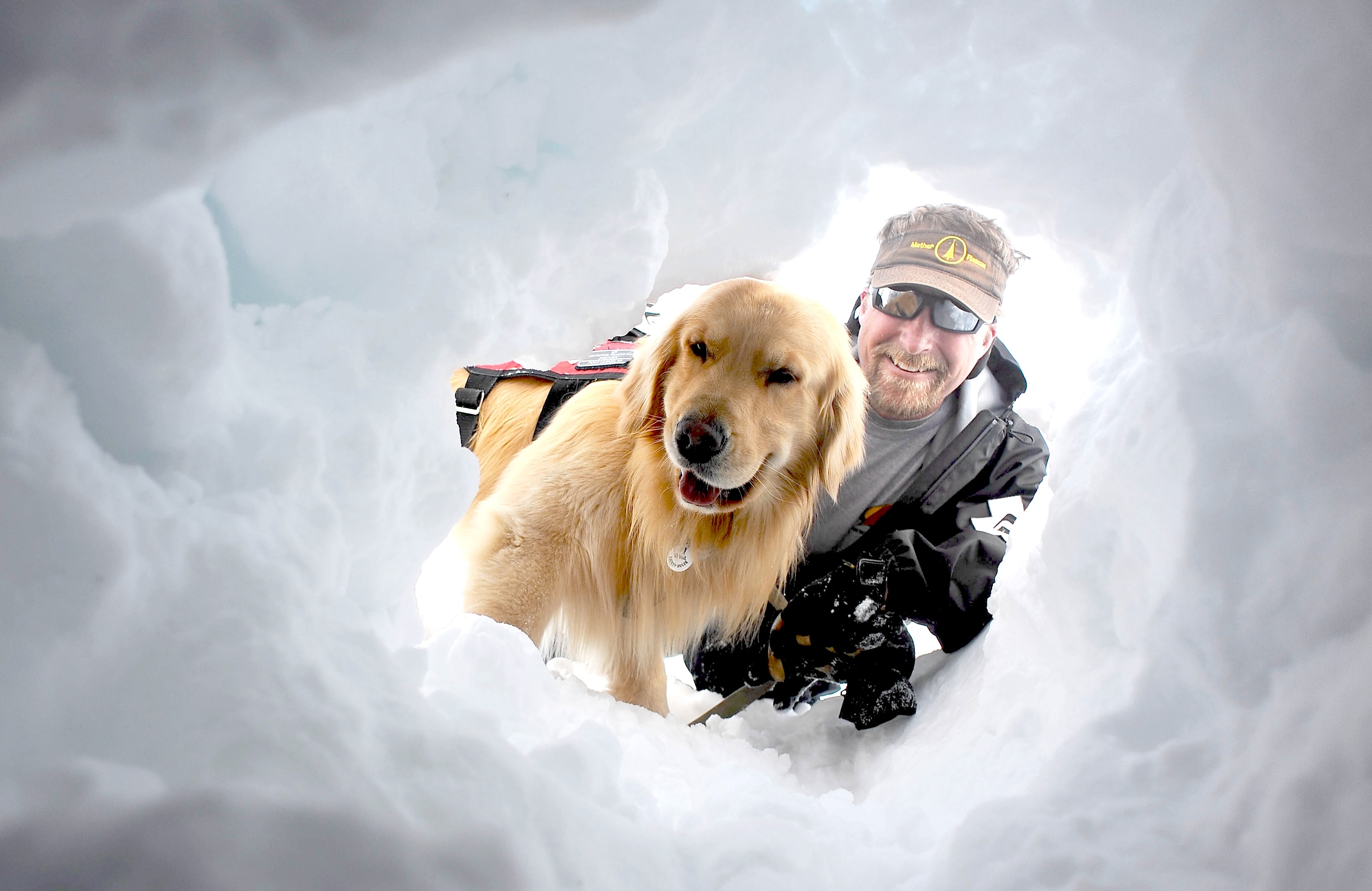 These Avalanche Dogs Save Skiers: Watch Them at Work