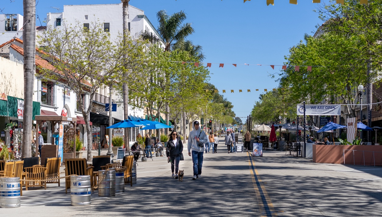 Twin Study Illustrates Importance of Walkability