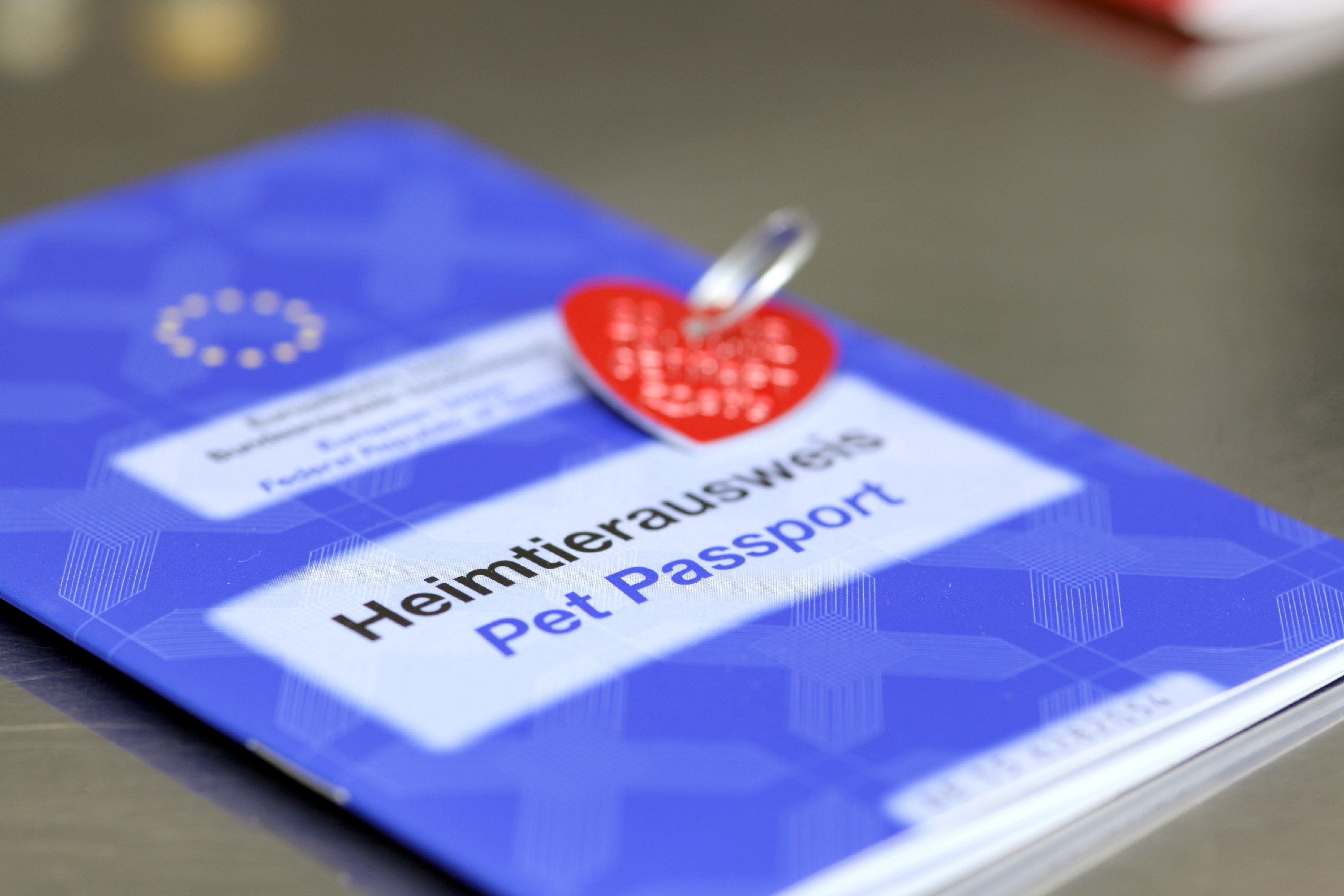 Pet Passports Make Travel Easy in the EU