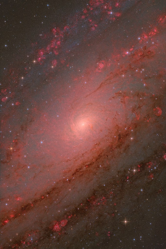 See the 2025 Astronomy Photographer of the Year Winners